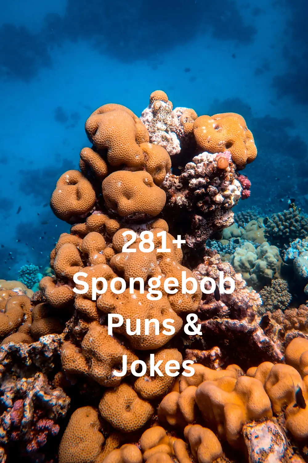 281+ Spongebob Puns & Jokes
